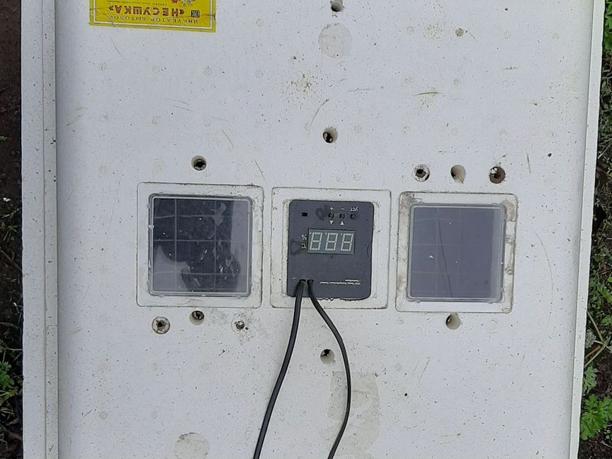 Инкубатор несушка 63