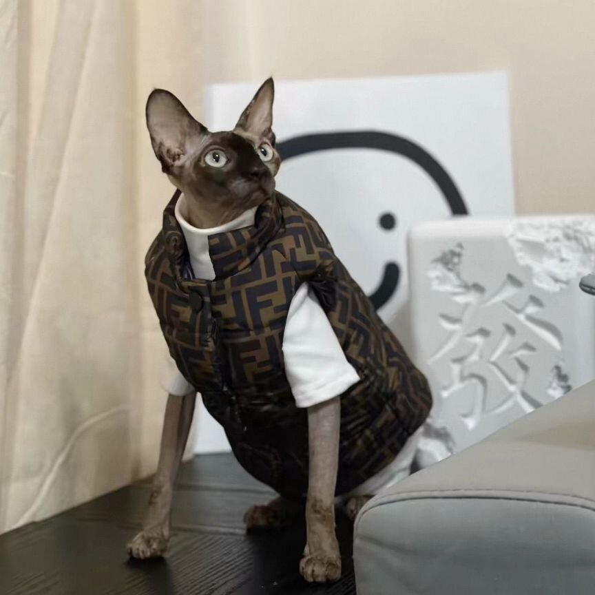 Куртка жилетка fendi для собак и кошек