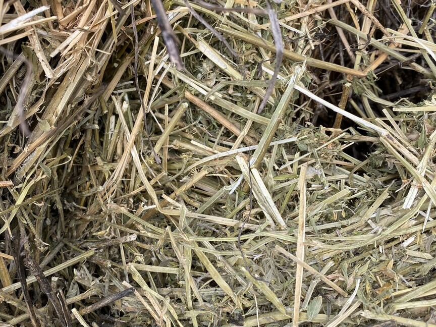 Люцерна в рулонах