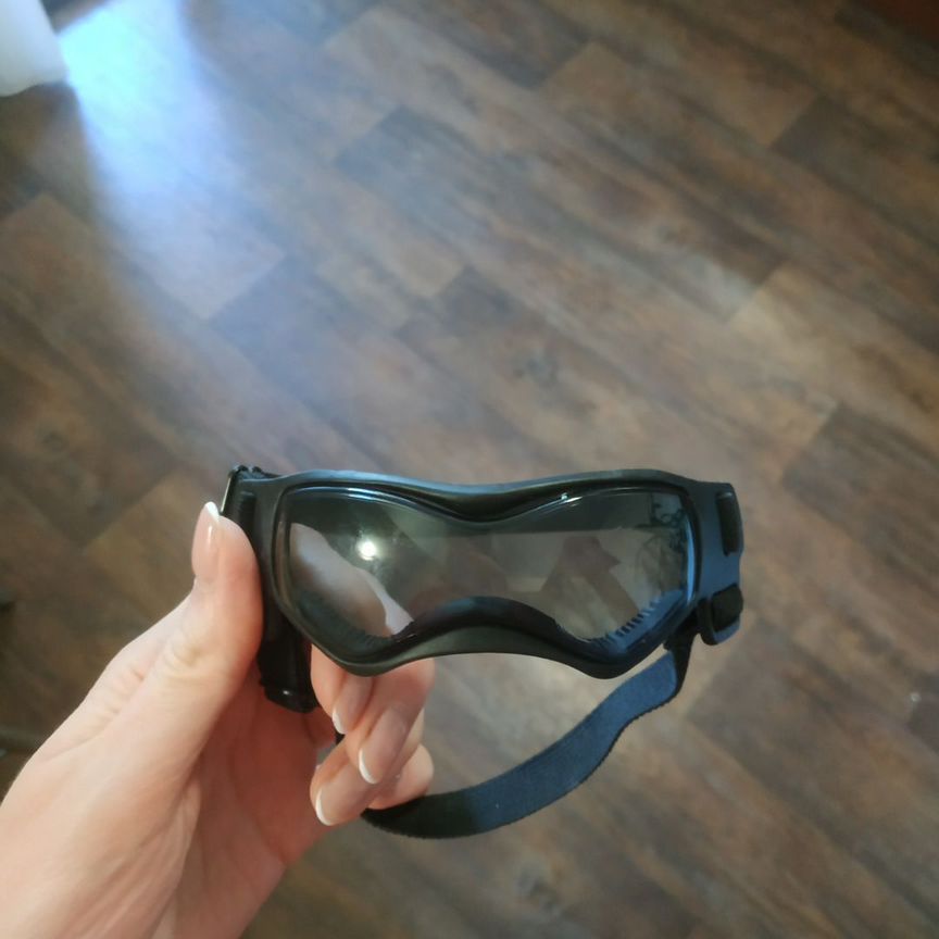 Очки для собак