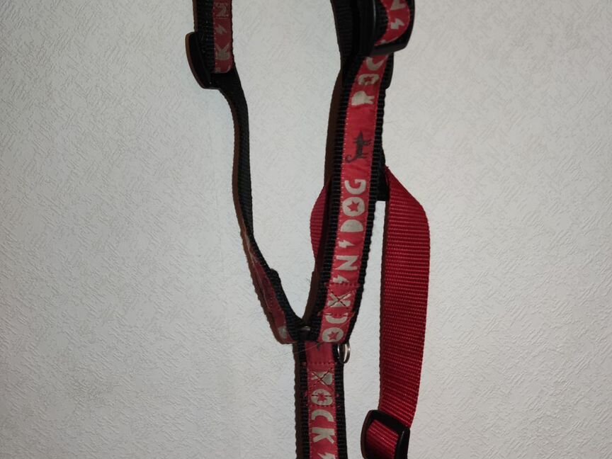 Шлейка для собаки Шарик дог р. М