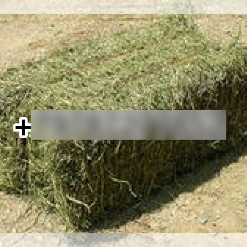 Сено солома в тюках