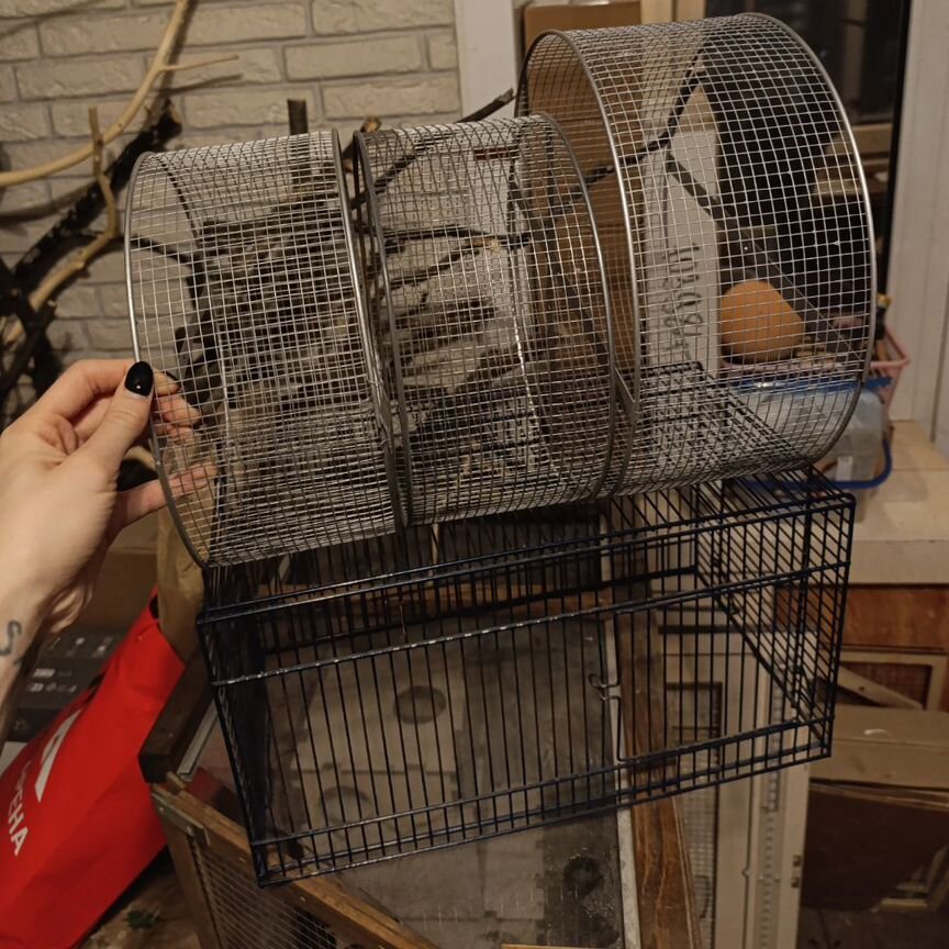 Большие колеса для грызунов