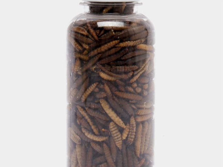 Лакомство для грызунов