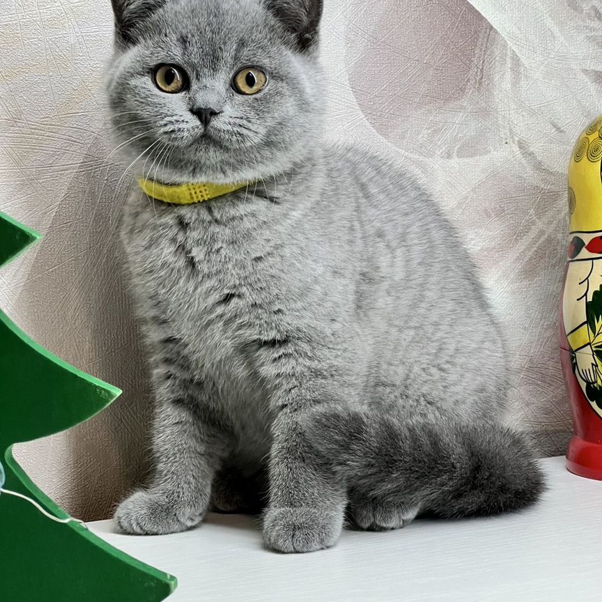 Ее зовут Иволга