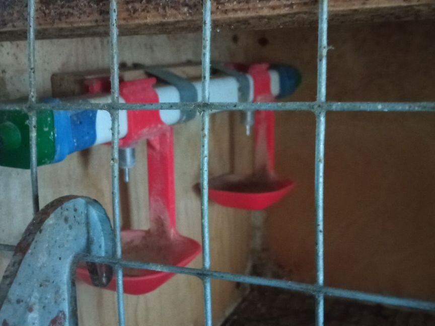 Нипельные поилки для сельхоз птицы