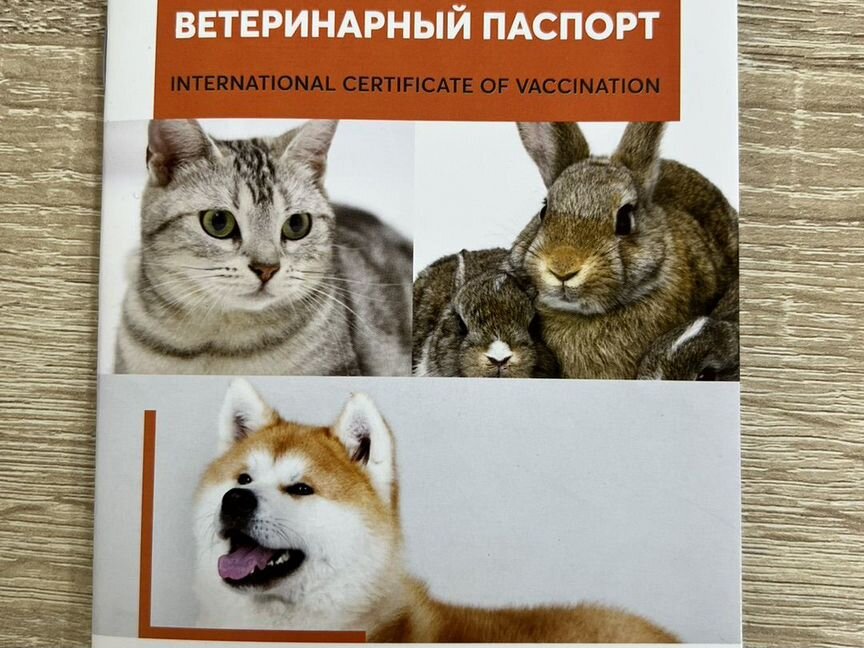 Международный ветеринарный паспорт для животных