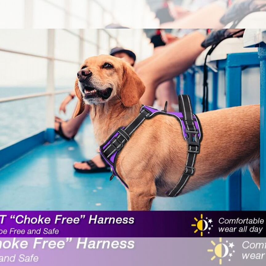 Шлейка для маленькой собаки xs