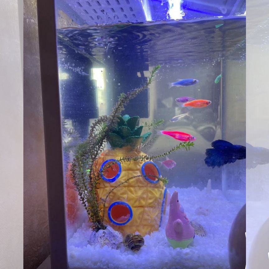 Обменяю грунт и корм для рыб