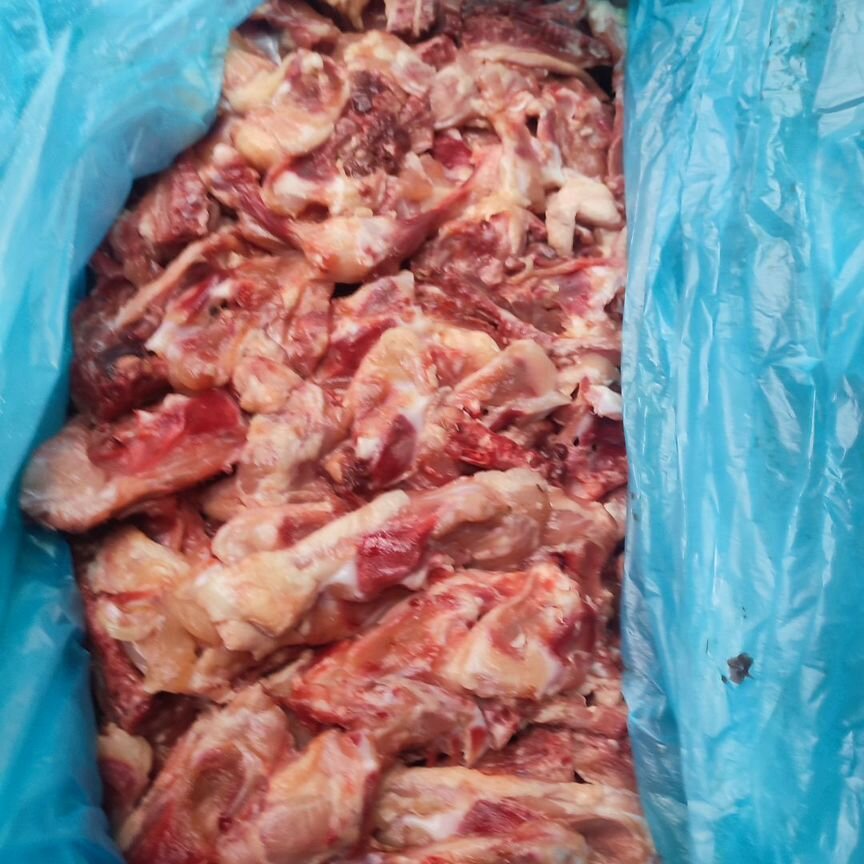 Корм для собак