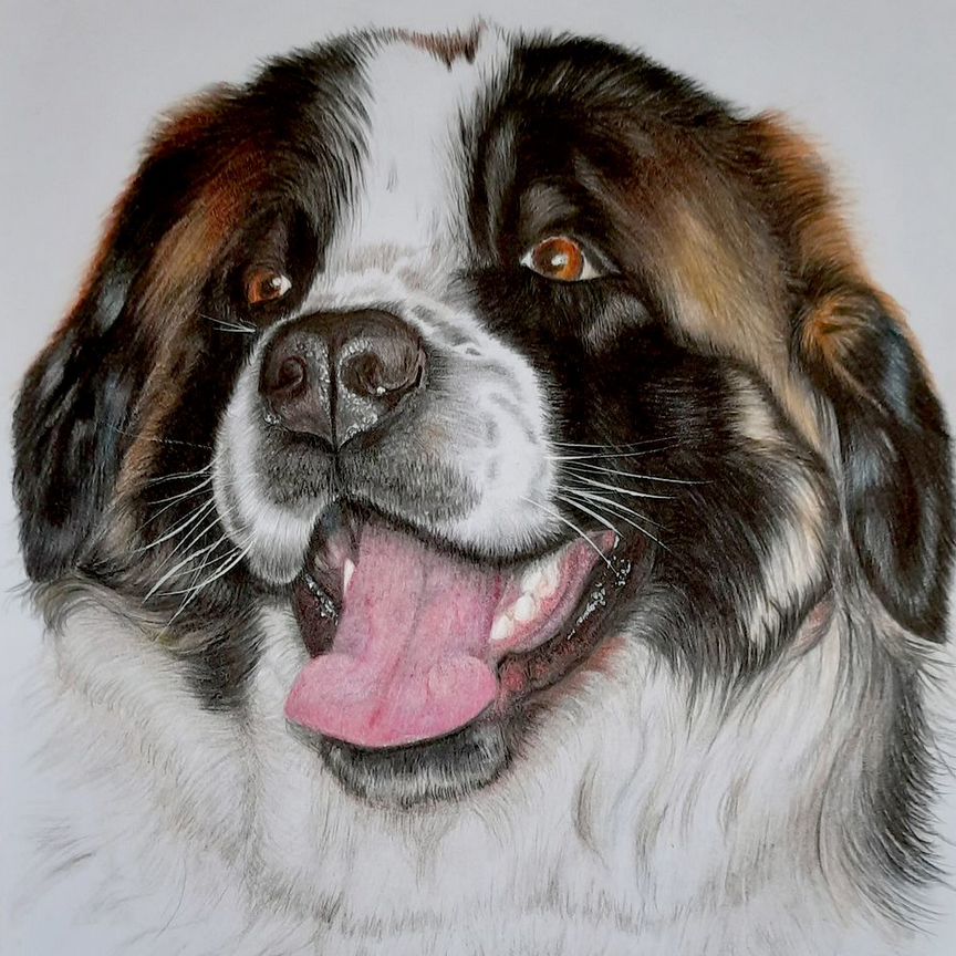 Портреты любимцев