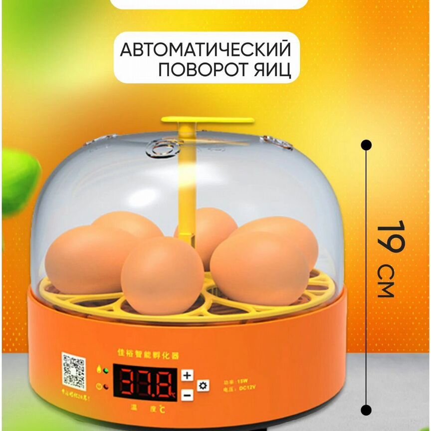 Инкубатор на 6 яиц