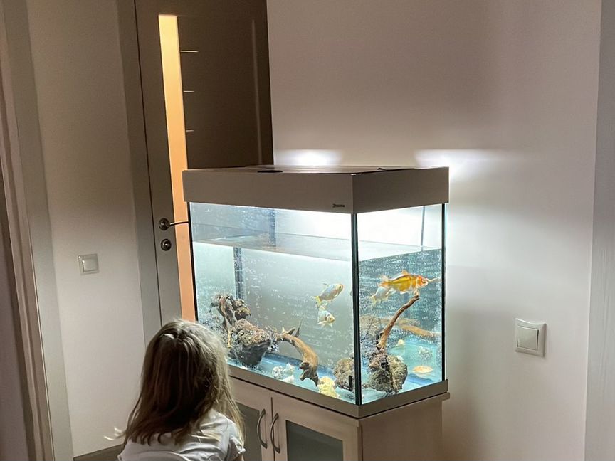 Продам аквариум, AquaPlus, 90 л