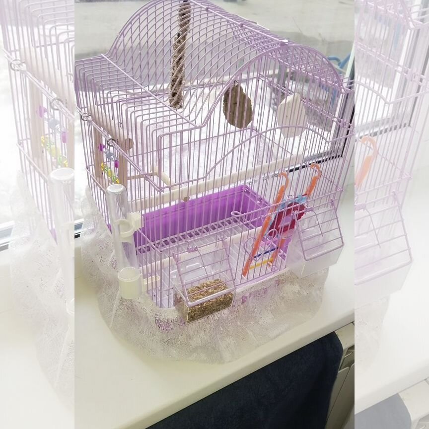 Клетка для волнистого попугая бу