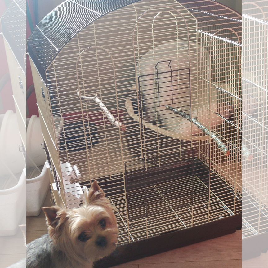 Клетка для попугая