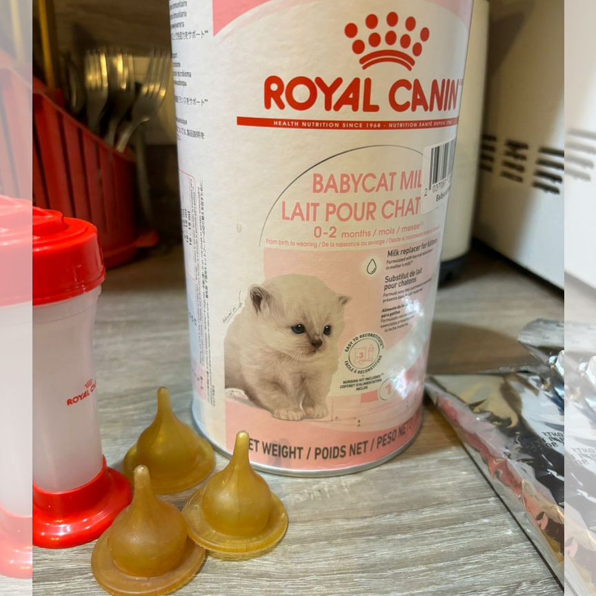 Молоко для котят Роял Канин