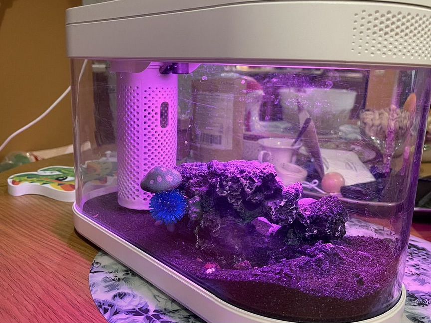 Аквариум Xiaomi