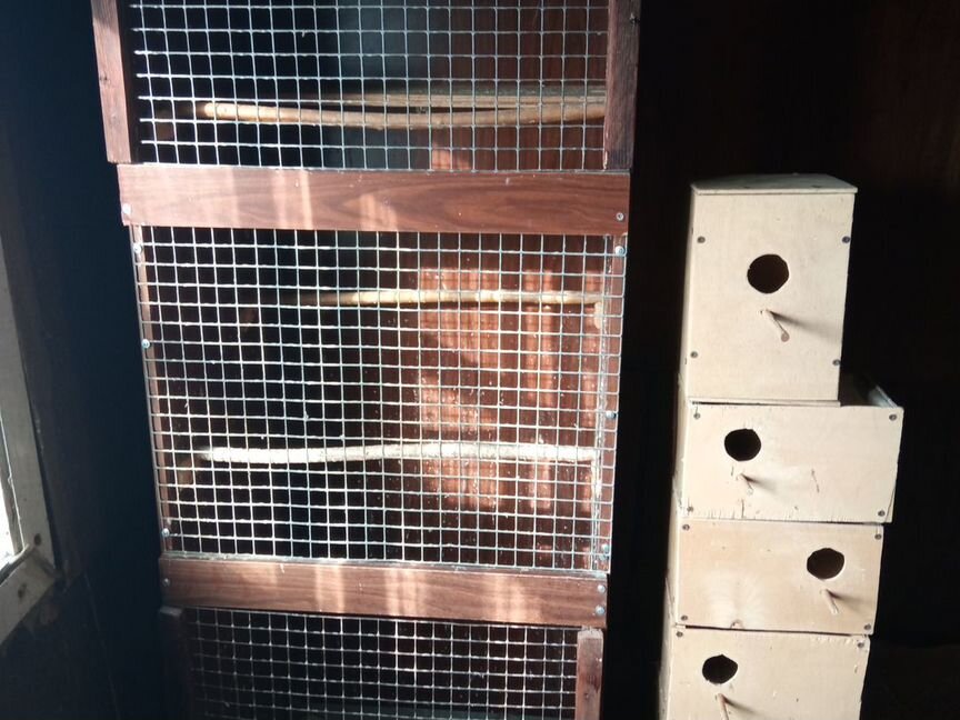 Продам вольер для попугаев с домиками