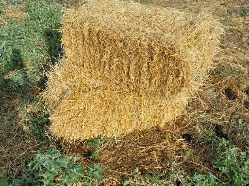 Солома и сено в тюках