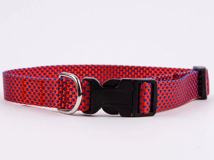 Ошейник для собак