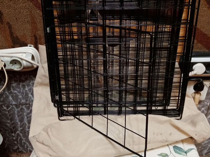 Загончик для собак и кошек