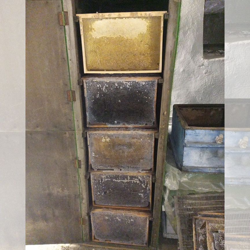 Продам суш, рамки, улья дадановские
