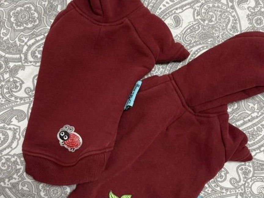 Одежда для собак чихуахуа, той-терьер, йорк