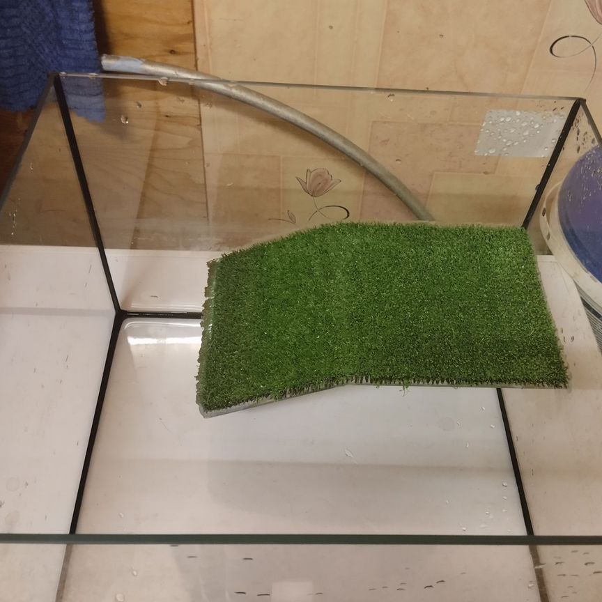 Аквариум для черепахи