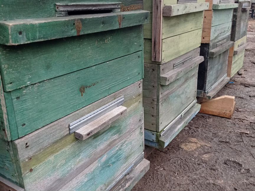 Улей для пчел