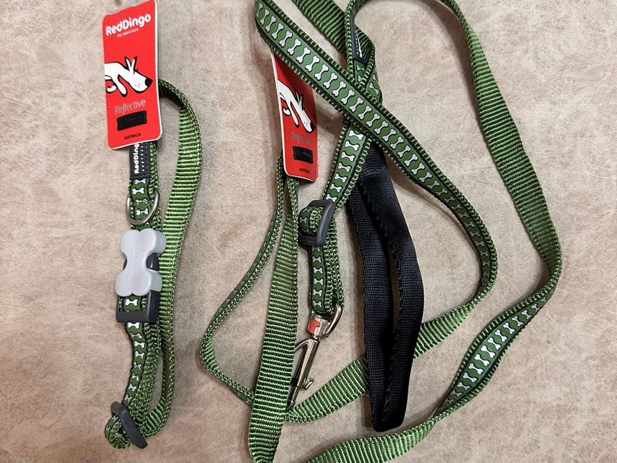 Ошейник и поводок для собак Red Dingo