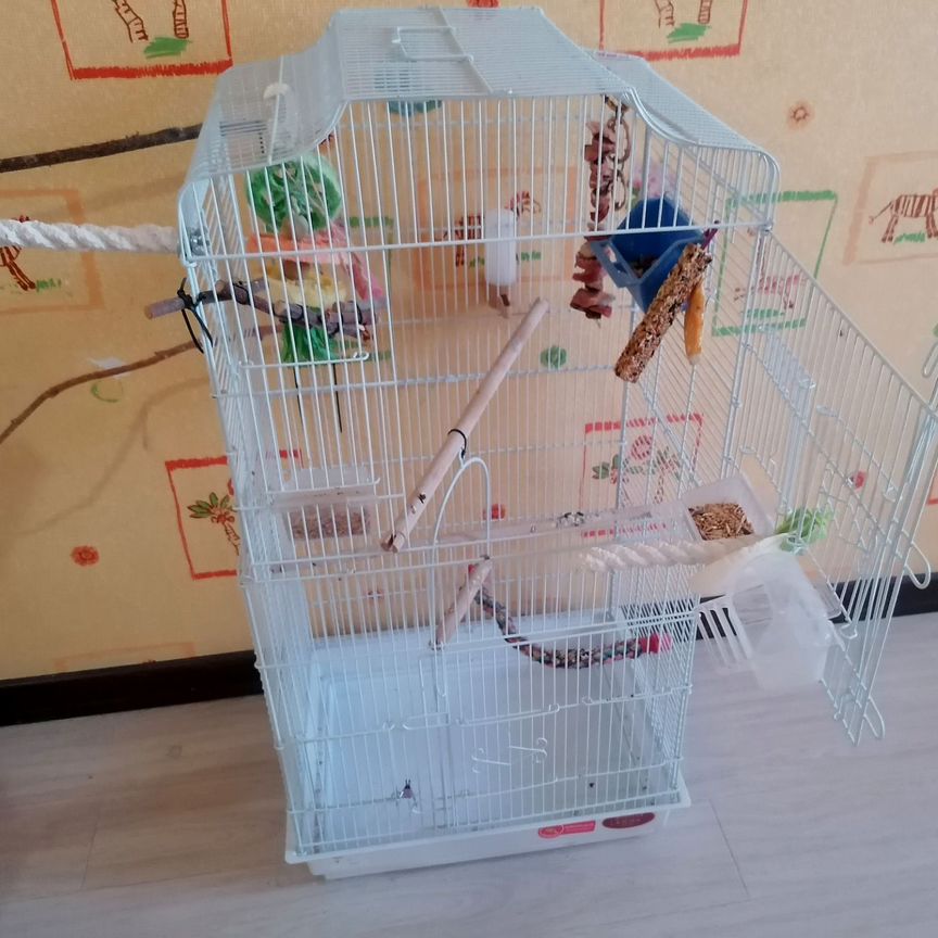 Клетка для птиц