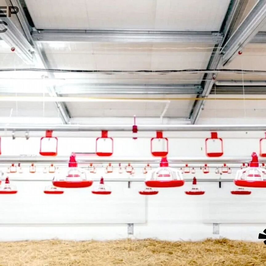 Ниппельное поение