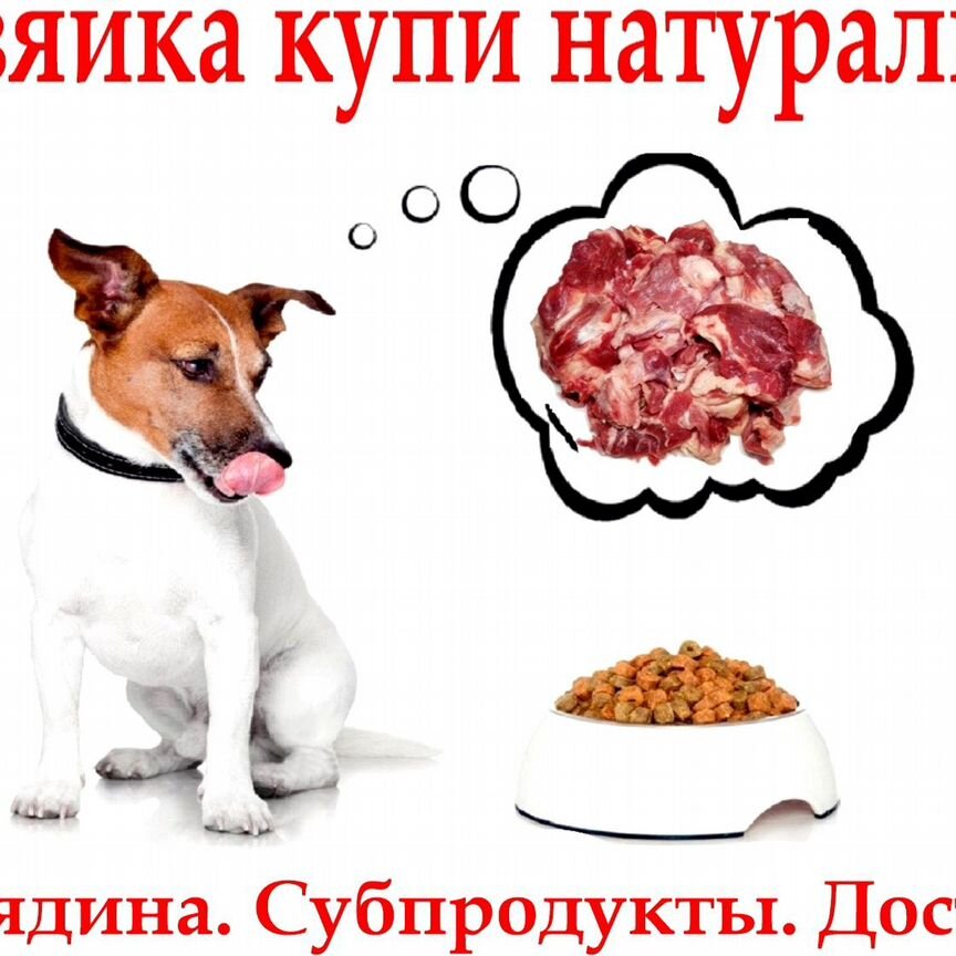 Корм. Мясной натуральный. Доставка