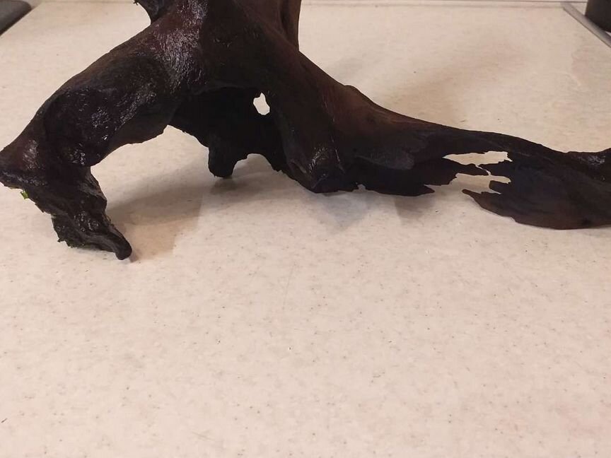Коряга