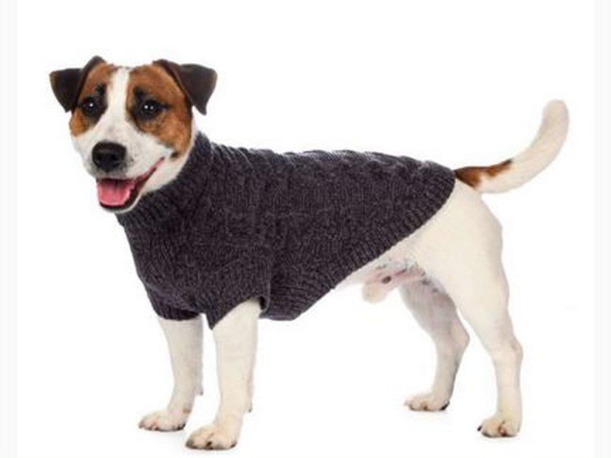 Свитер для сабаки 2 XL из шенилла