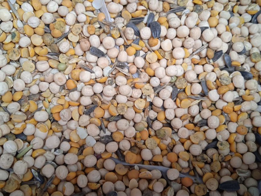 Продам колотый горох