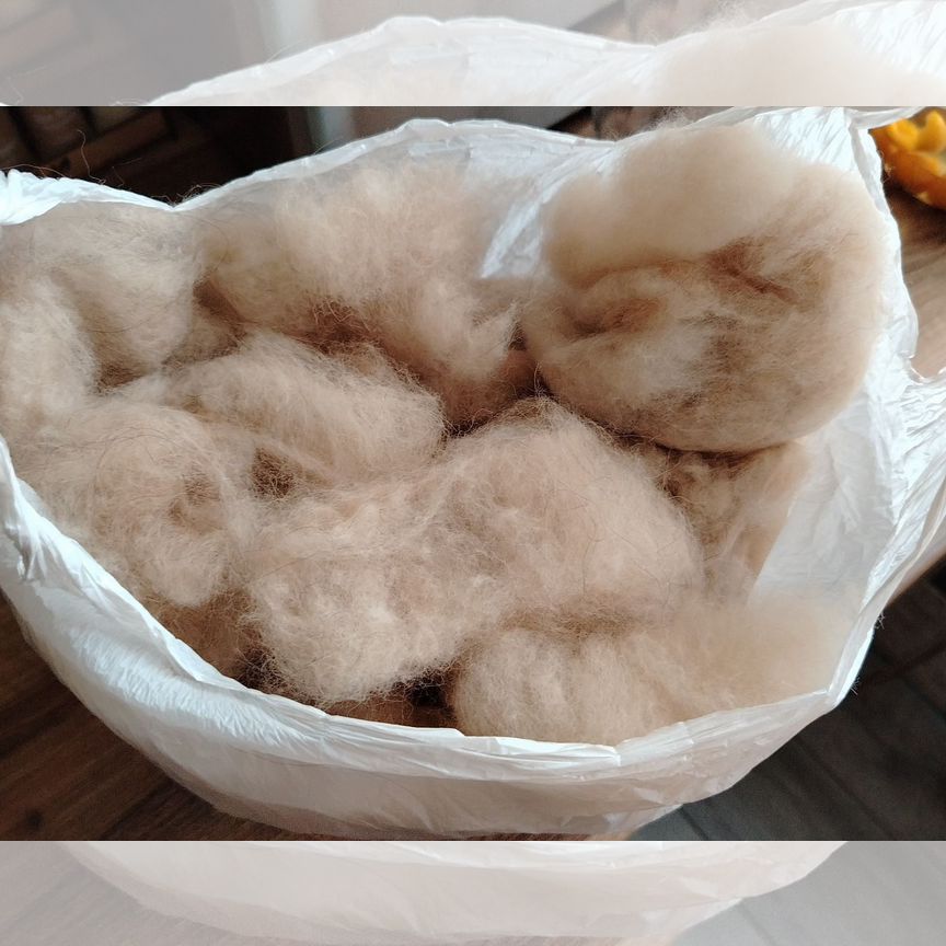 Шерсть и пух собаки