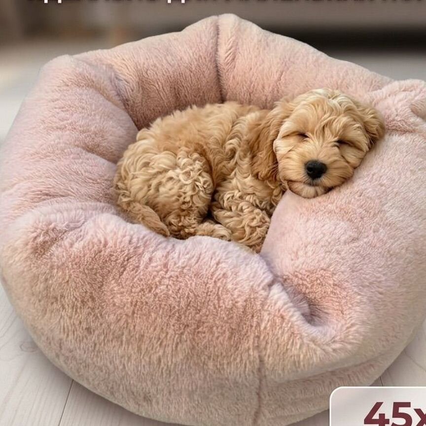 Лежанка для маленьких собак