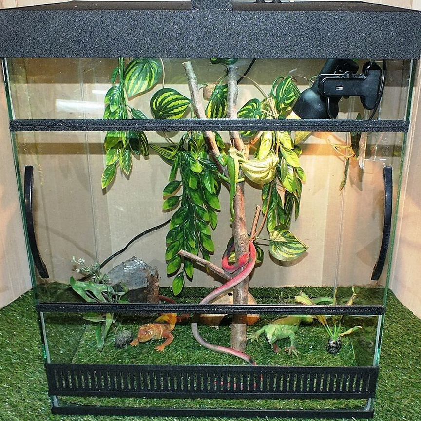 Супер комфорт для хамов, бананоедов и др экзотики