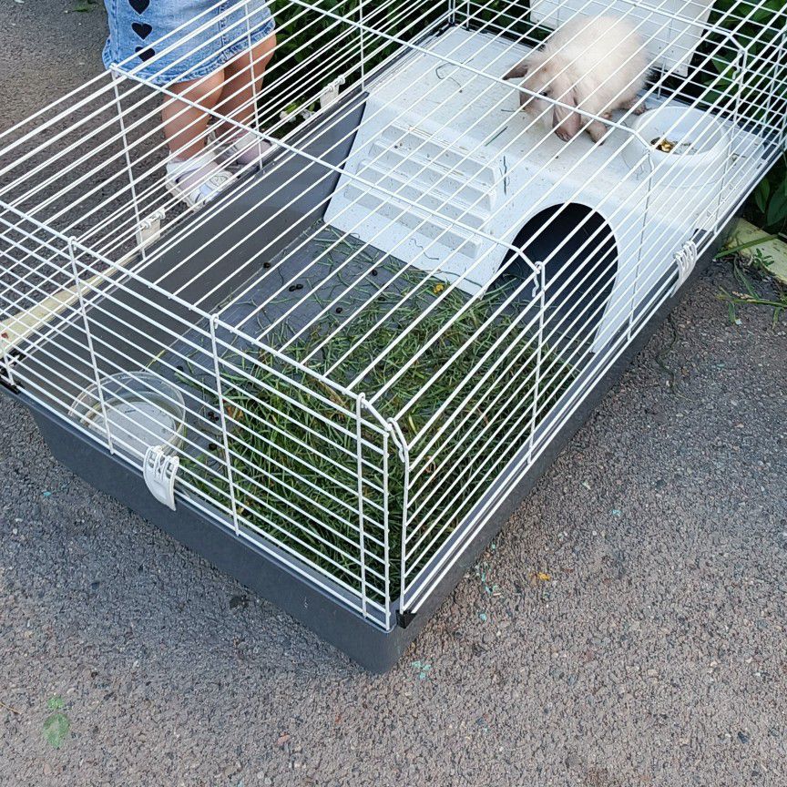 Клетка большая