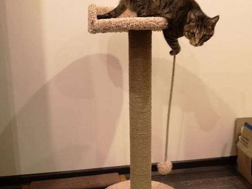 Когтеточка с лежанкой