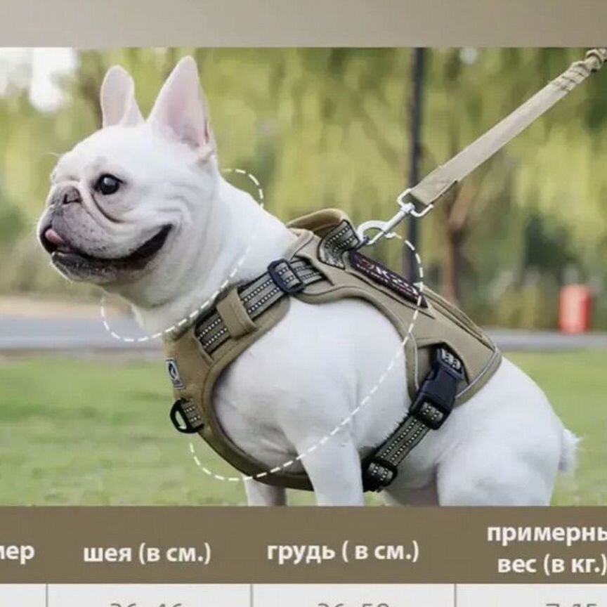 Шлейка для средней собаки