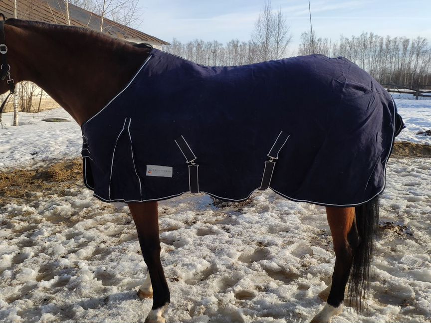 Попоны,удила для лошади