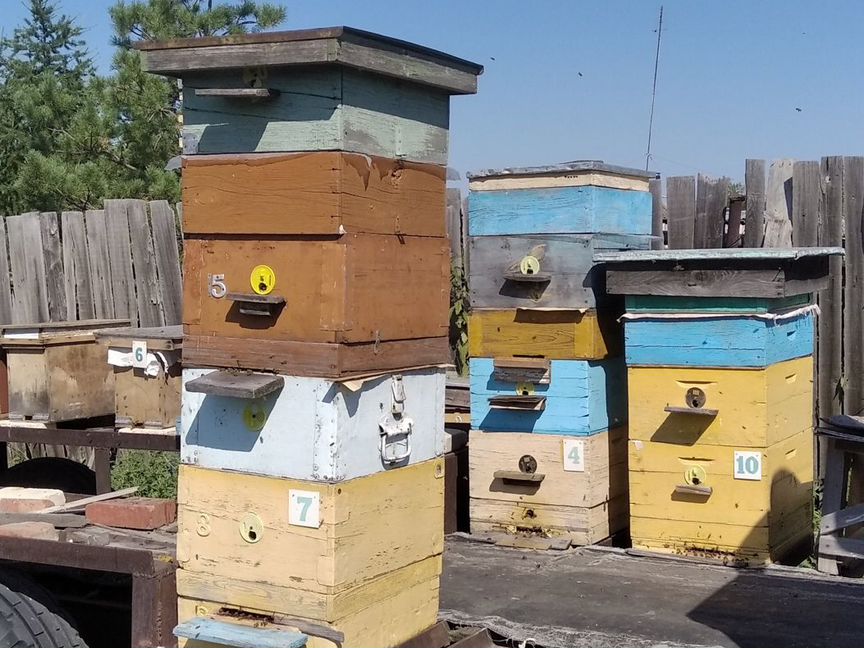 Улья, рамки, сушь