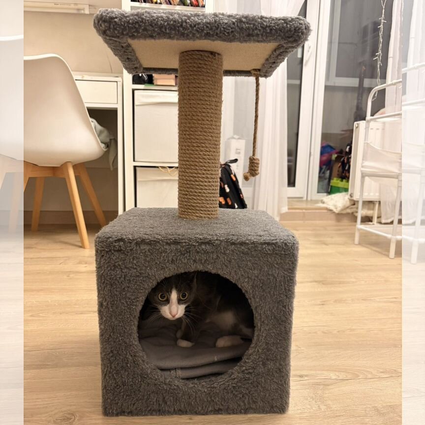 Домик для кошки с когтеточкой