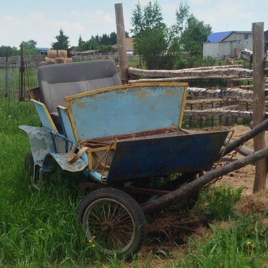 Сбруя для лошади