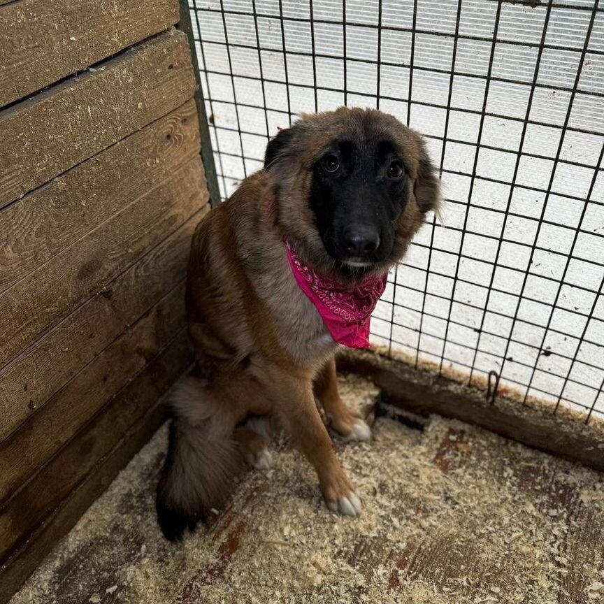 Малышка Сэнди ждет своего человека