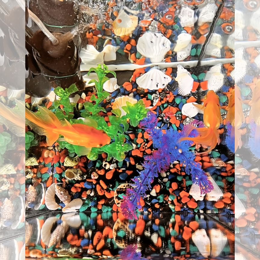 Аквариул 30л