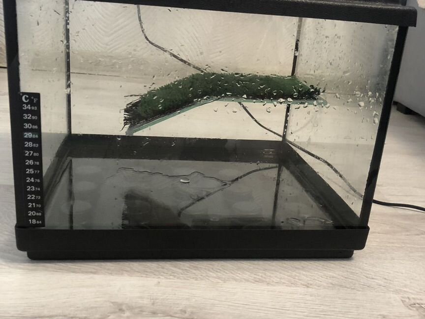 Акванариум для черепах