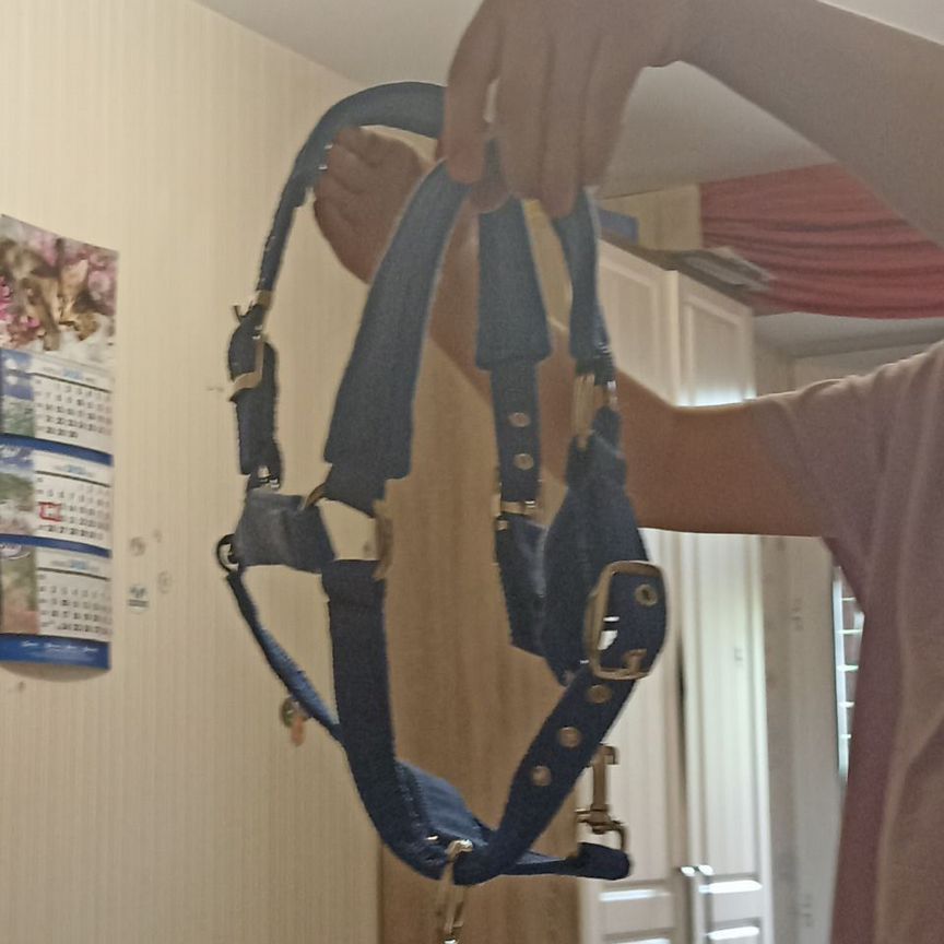 Недоуздок для лошади